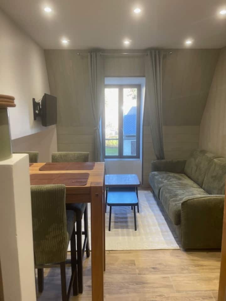 Appartement F2 Centre Murol - Chambon-sur-Lac