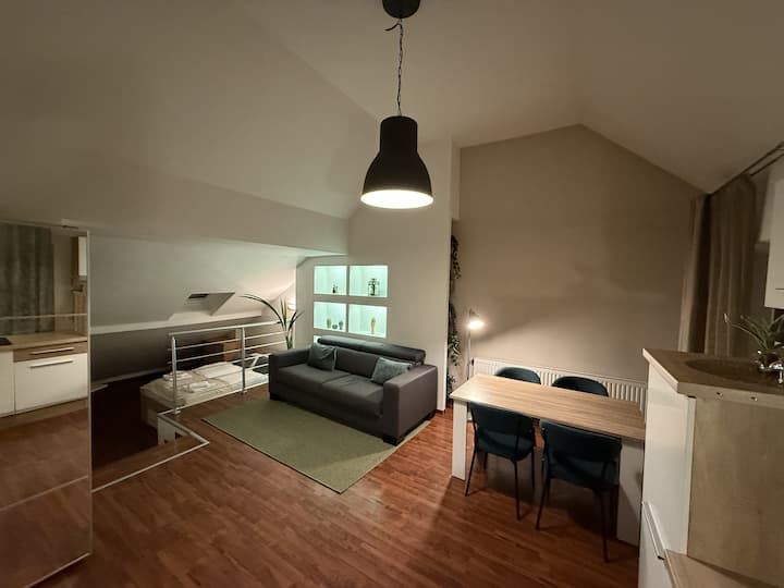 Family Apartment In The Old Town - Ljubljana