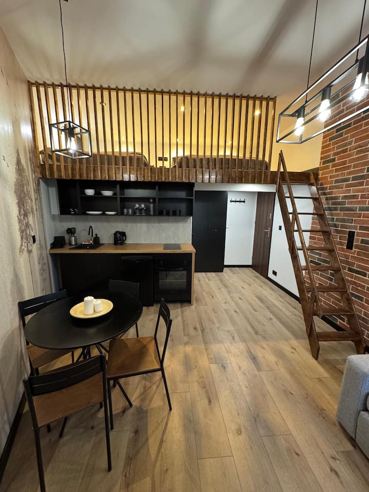 R_k_47_15b_charming Apartment In Katowice - Katowice