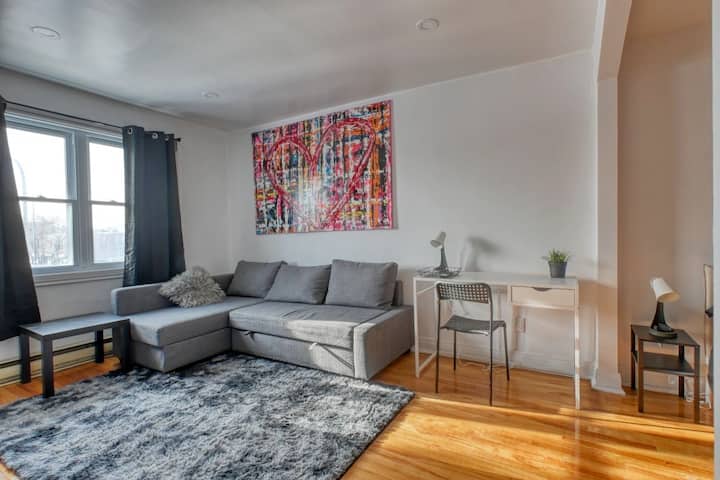 Apt éClairé Et Repeint Avec 1ch Semi-ouverte - Montreal
