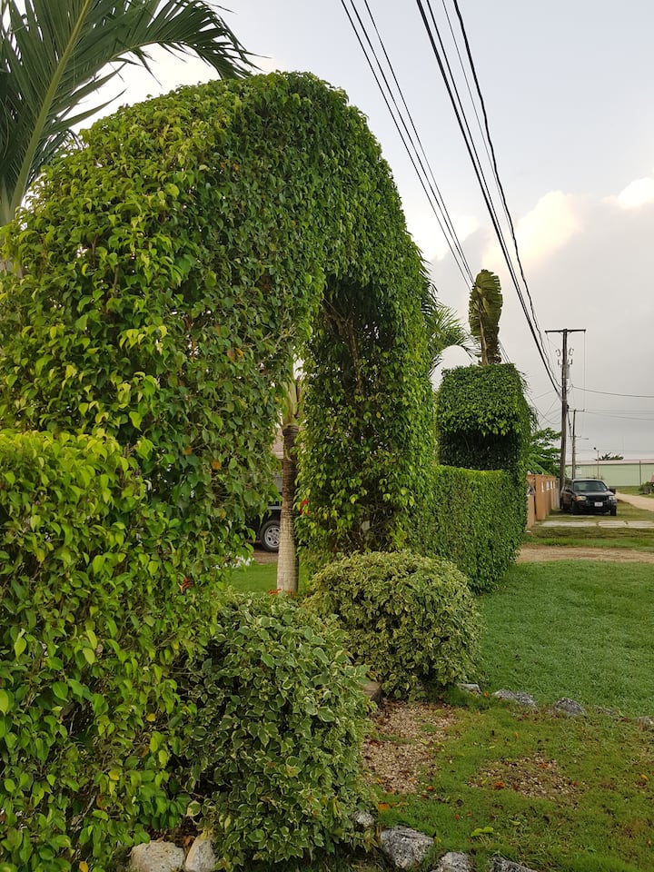 Capital Escape - Belmopan