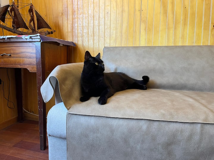 Casa Frente Al Mar Independiente - Tome