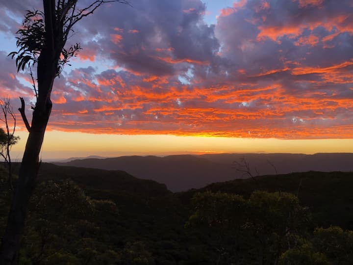 Black Cockatoo Hut - Katoomba
