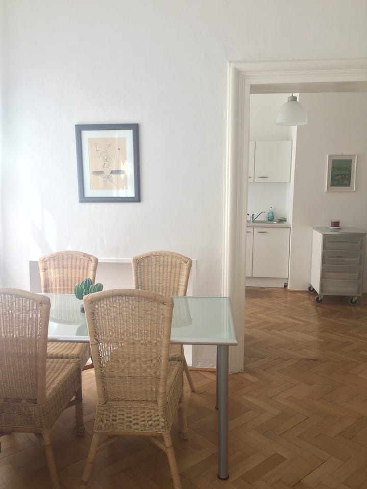 Große Helle Biedermeierwohnung - Graz