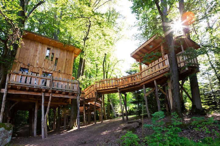 Cabane Dans L'arbre - Bain Nordique à St Louis - Black Forest