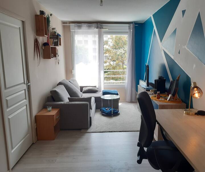 Appartement Cozy Proche Eurexpo - Bron