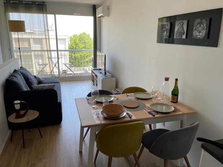 Appartement Vue Mer, Climatisé, Giens, 4personnes - Giens