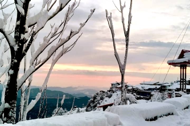 Jenisha Royale Inn - Homestay - Shimla