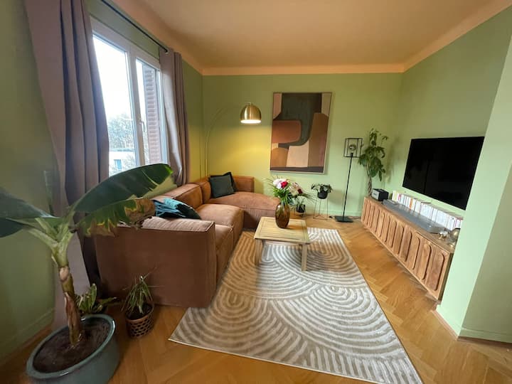 Appartement Cosy à Annecy - Annecy
