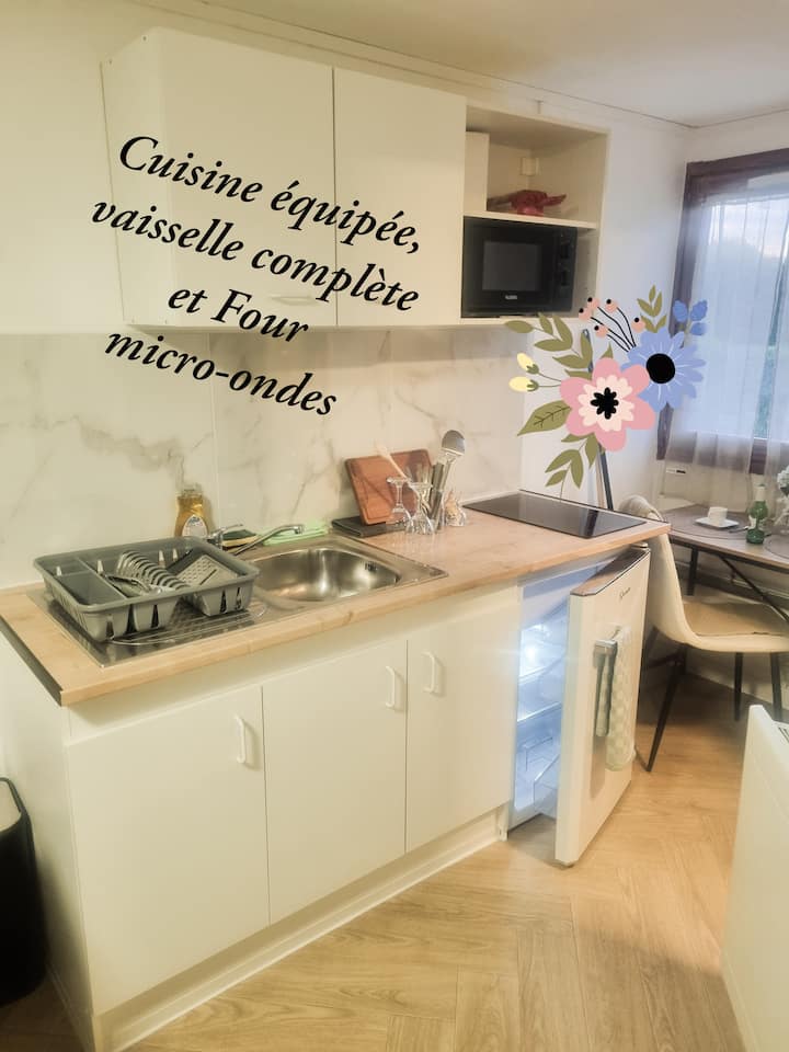 Le Cosy D'or Stade P. Mauroy, Parking Gratuit - Villeneuve-d'Ascq
