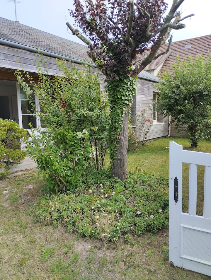 Maison De Bord De Mer - Agon-Coutainville