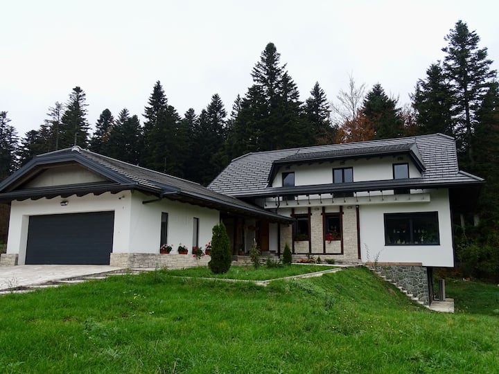Lynx House - Osilnica
