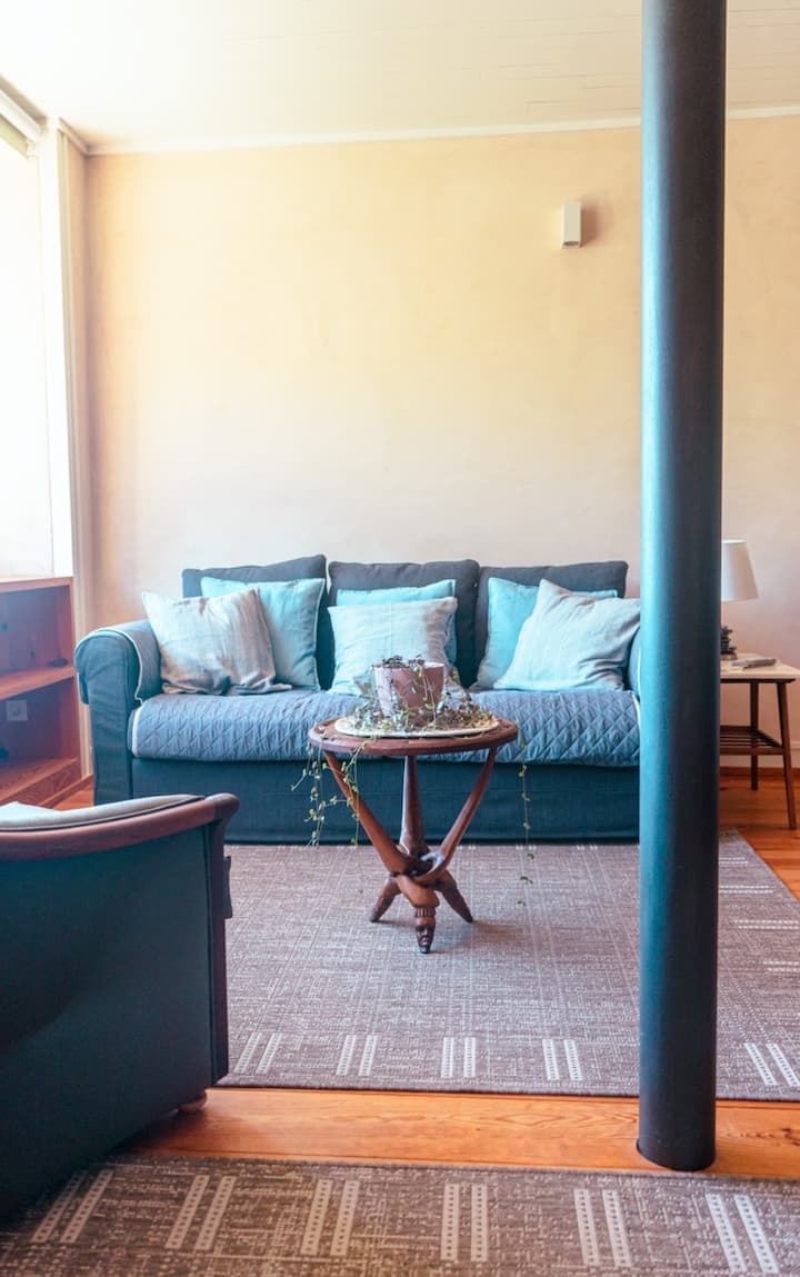 Apartamento Duplex Com Terraço - Barca53 - Abrantes