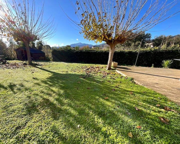 Appartement T3 En Rez De Jardin - Borgo