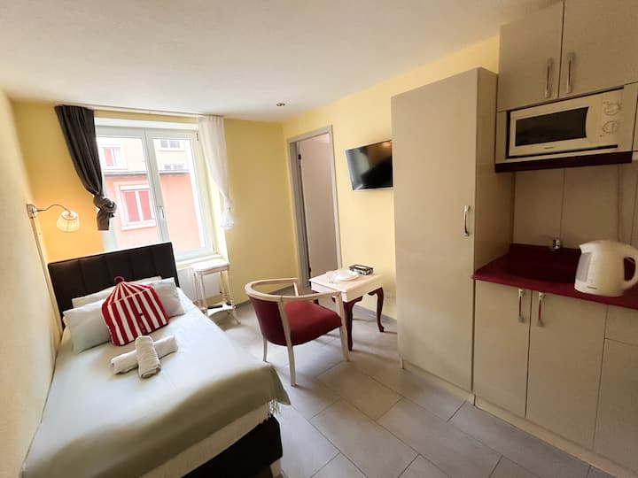 10 Min Walk To Zurich Hb-city Center-single Room - Zurich