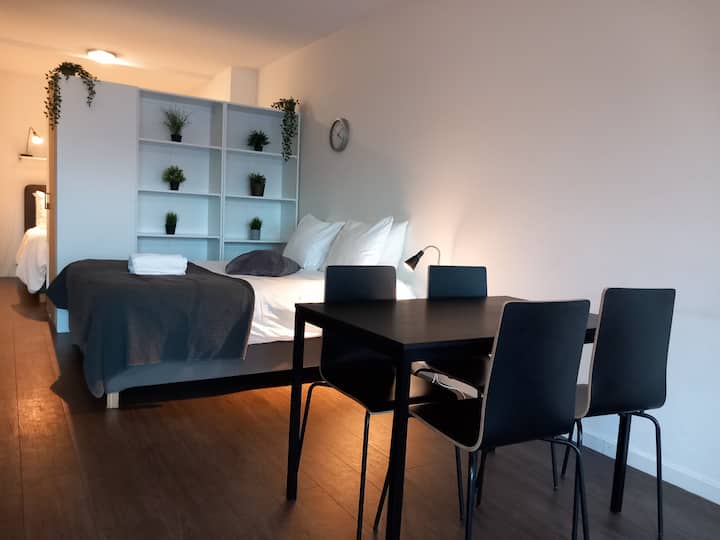 Large Gorgeous Apartment Studio - Delft