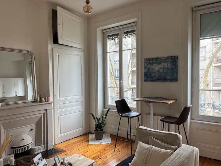 Charming Apartment Lyon - Lion
