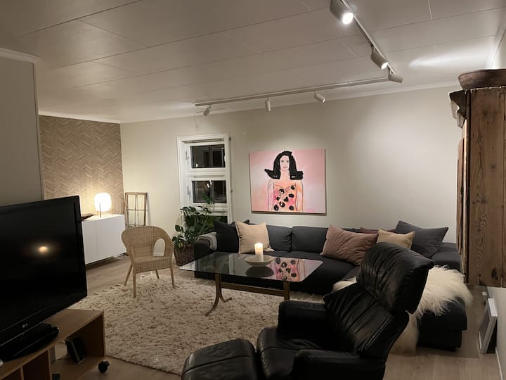 Stor Enebolig På Byåsen, Nærhet Til Butikker, Buss - Trondheim