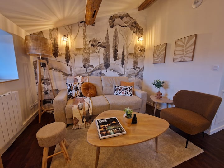 Suite Cosy Vue Imprenable Lyon - Lyon