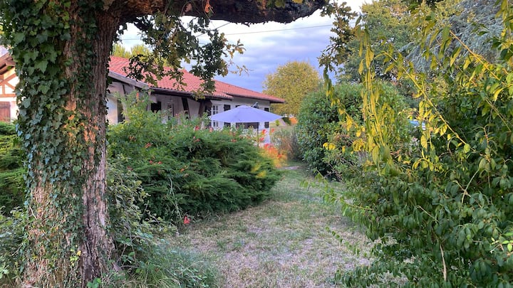 Lac, Forêt, Océan, Famille - Landes