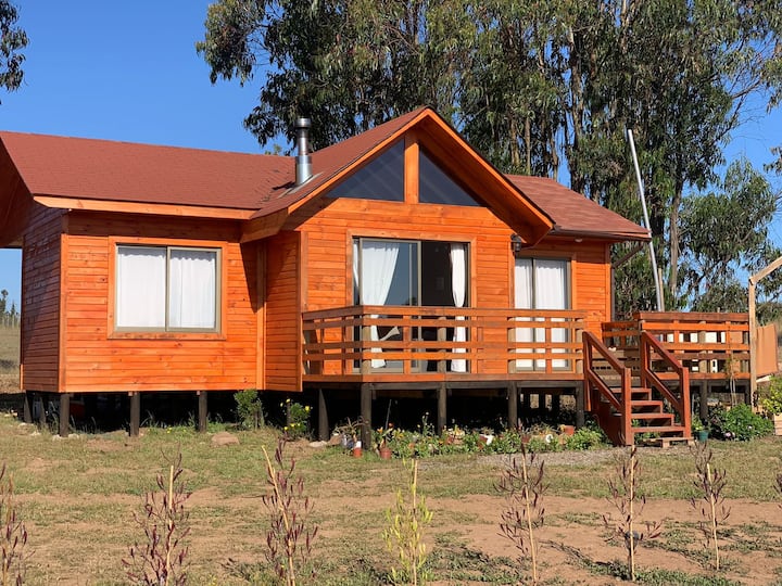 Cabaña Amelia De Tunquen - Algarrobo