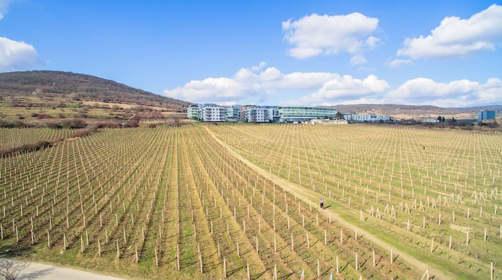 Cozy Family Apt Close To Nature (Ac, Free Parking) - Bratislava