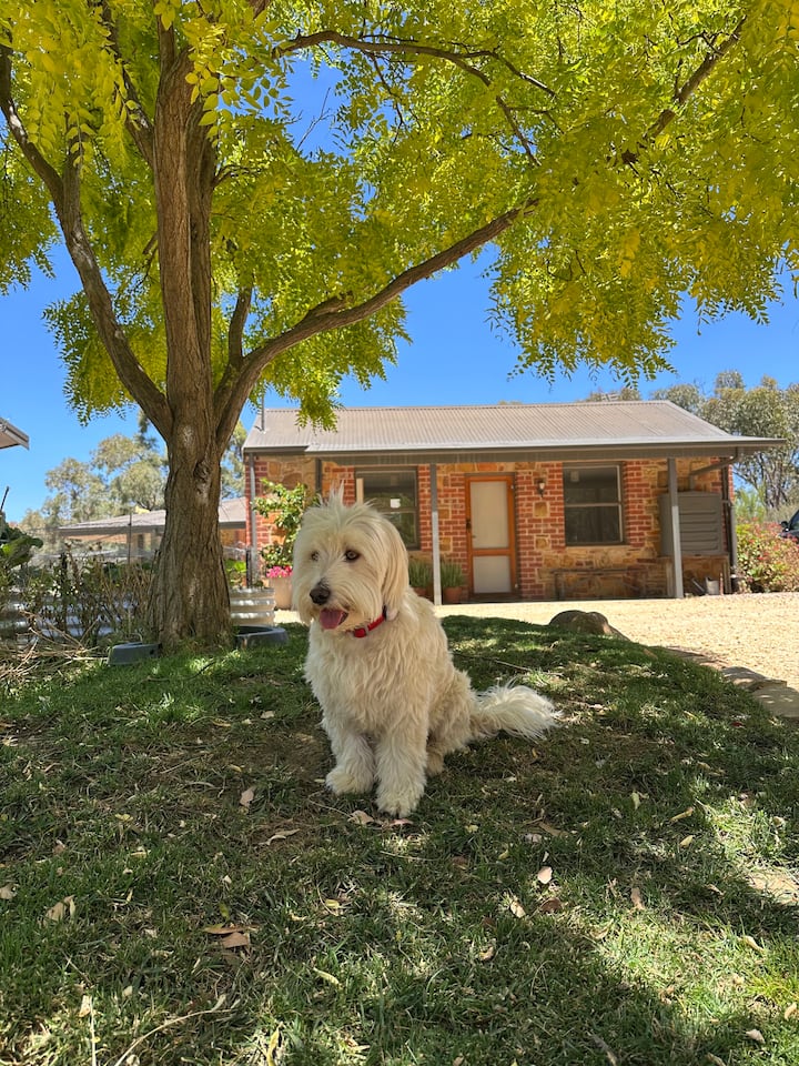 Studio - Heartstone Hill - Castlemaine