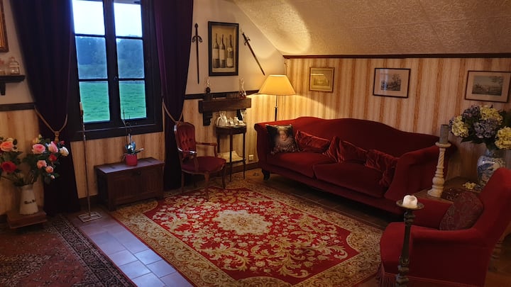 Chateau Villedieu - Montoire-sur-le-Loir