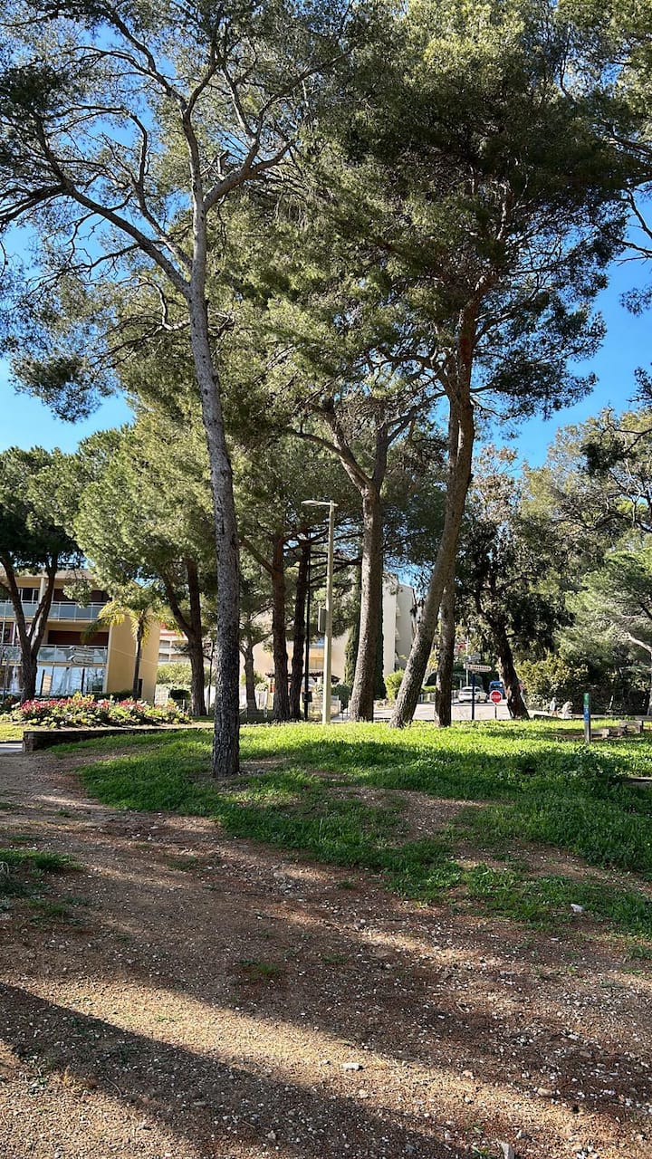 Appartement Proche Port, Plages. - Bormes-les-Mimosas