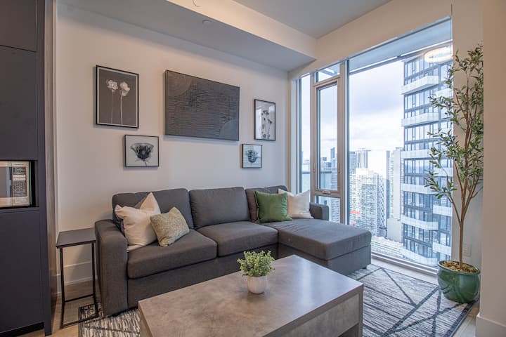 Luxury Condo In Downtown Toronto - Toronto