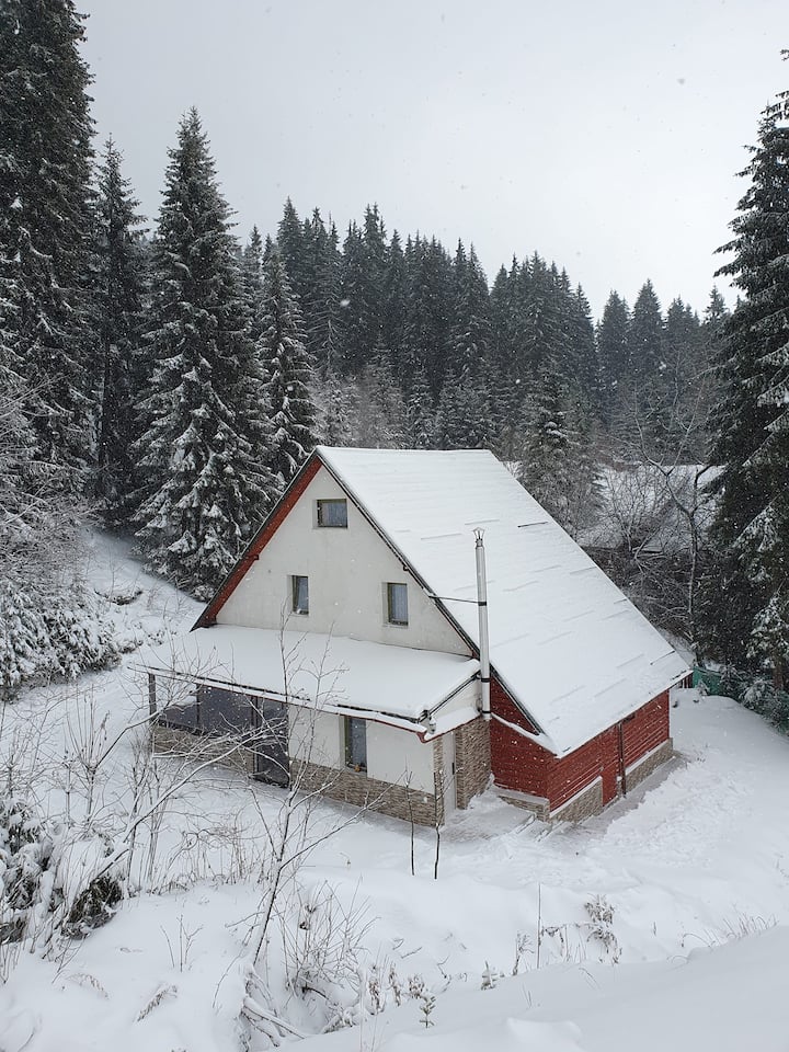 Star Panzió - Miercurea Ciuc