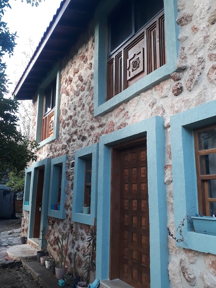 Villa 1x1 çıRalı - Çıralı