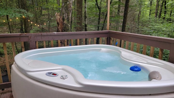 Fawn's Thicket - Suches, GA