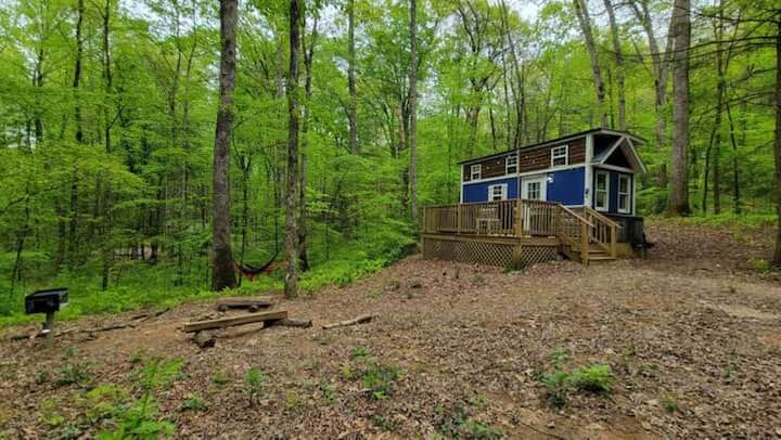 Honey Bear Haven - Porcini - Suches, GA