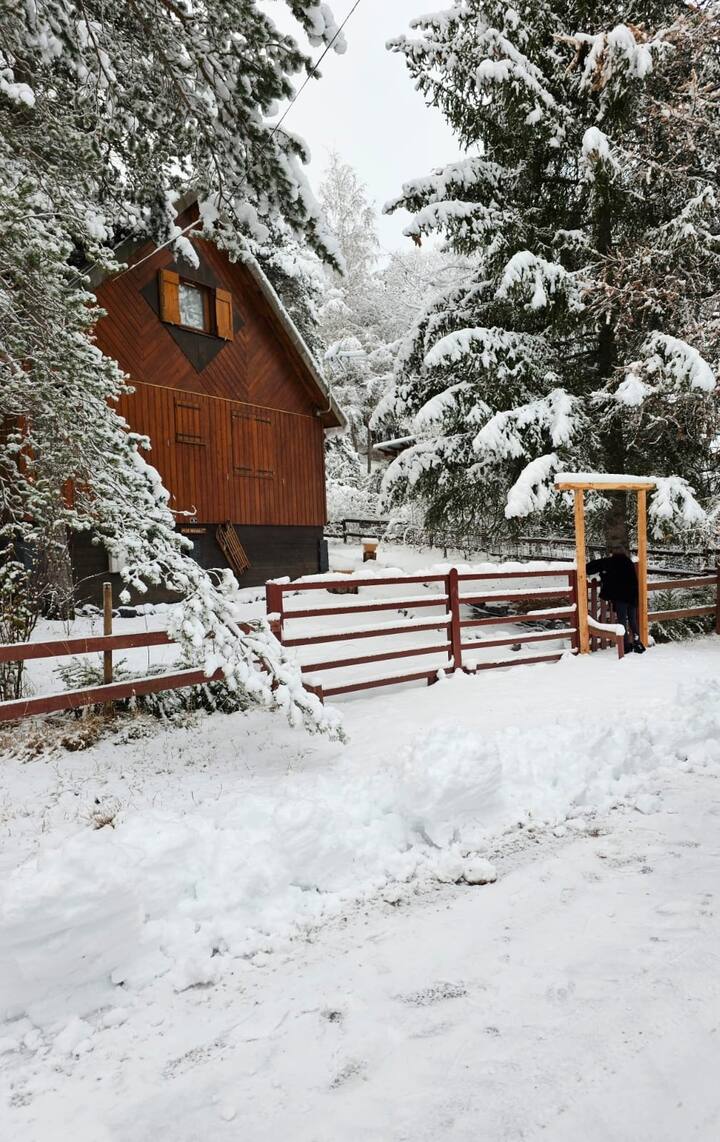 Chalet Cosy Et Spacieux à La Montagne - Seyne