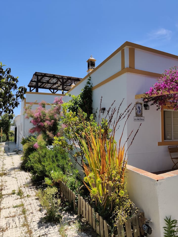 Quinta Santa Margarida - Tavira - Tavira
