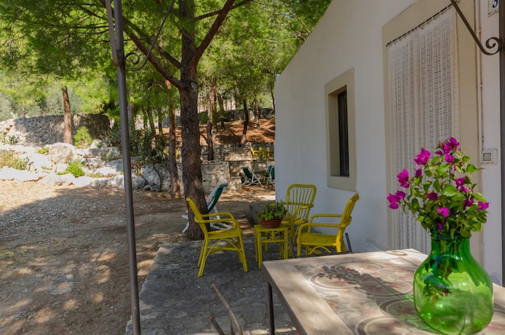 Casa In Agriturismo Con Frantoio Tipico In Puglia - Monte Sant'Angelo
