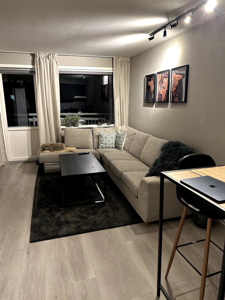 Modern Appartment - Perfect For Winter World Cup. - Trondheim