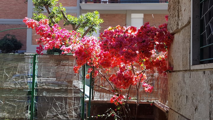 Mare, Giardino, Relax - Fiumicino