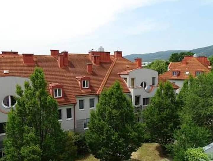 A Little Cozy Apartment - Baden bei Wien