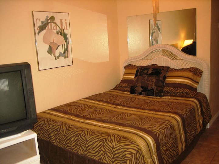 Super Nice Studio, Furnished - Sun City West, AZ