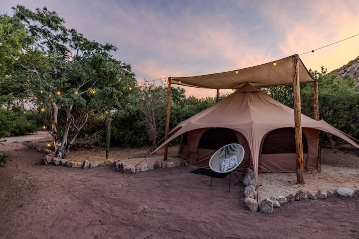 Glamping Tent 5 In Cabo Pulmo - Parque Nacional Cabo Pulmo