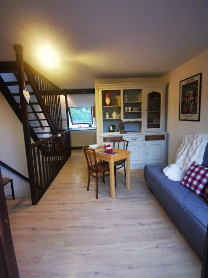 Appartement 1 Chambre Terrasse - Obernai