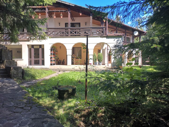 Vila Arcadia Sucevita - Putna