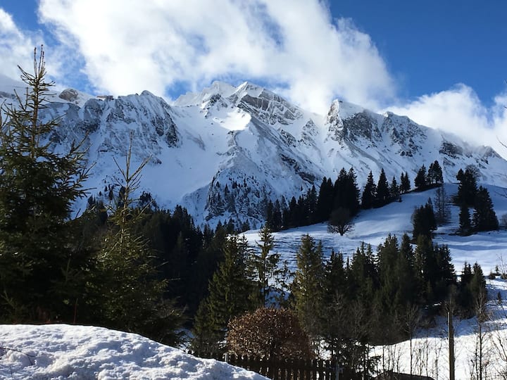 1.5-zimmer Wohnung Nähe Bergbahn Sörenberg - Meiringen