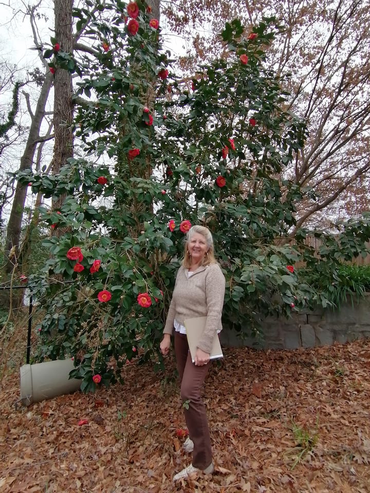 Serendipity House - Spartanburg, SC