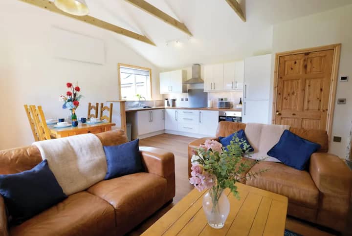 Blaen Cedi - The Pendragon - Llanelli