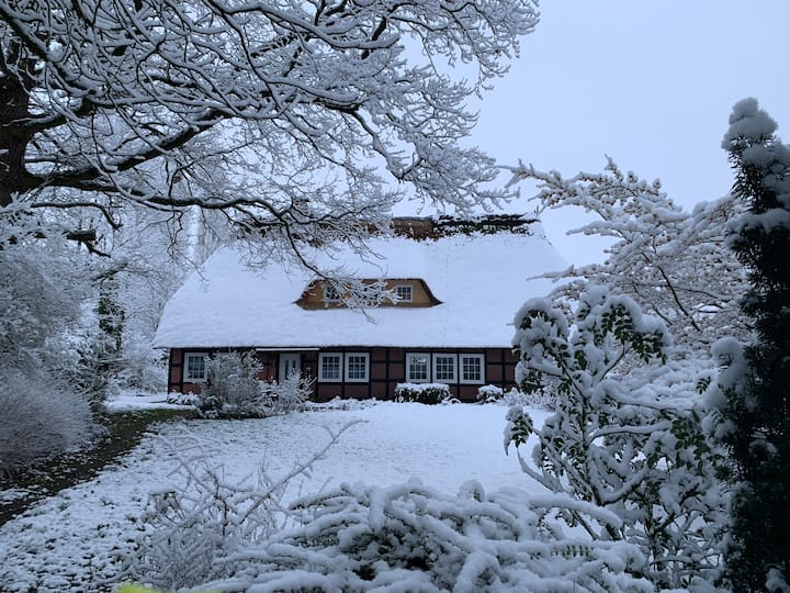 Fewo Hiddingen Lüneburger Heide - Visselhövede