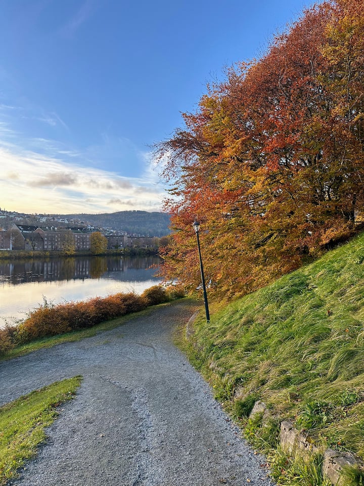 Sentral 2-roms I Trondheim - Trondheim