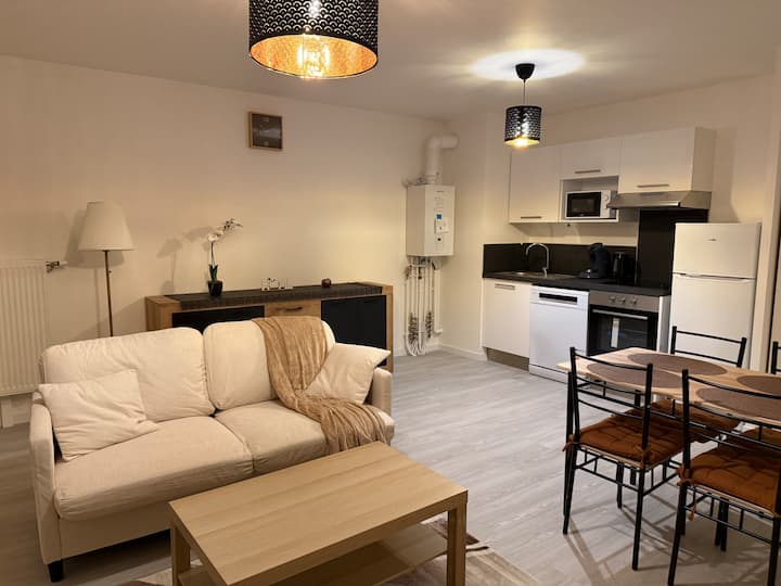 Appt Neuf Centre Saint-sever - Rouen